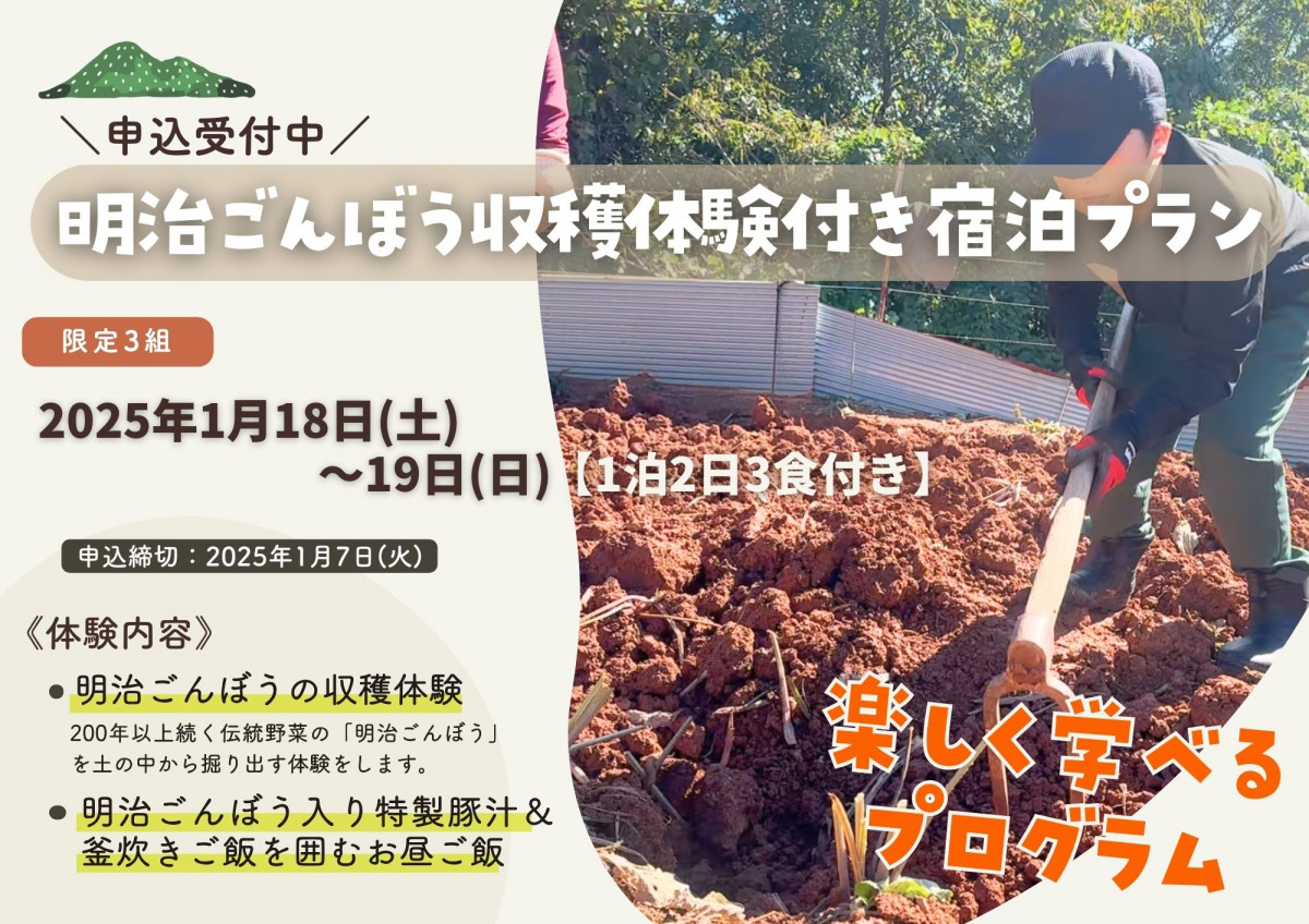 明治ごんぼう収穫体験付き宿泊プラン（1泊2日3食付き）｜イベント 岡山観光web【公式】 岡山県の観光・旅行情報ならココ！
