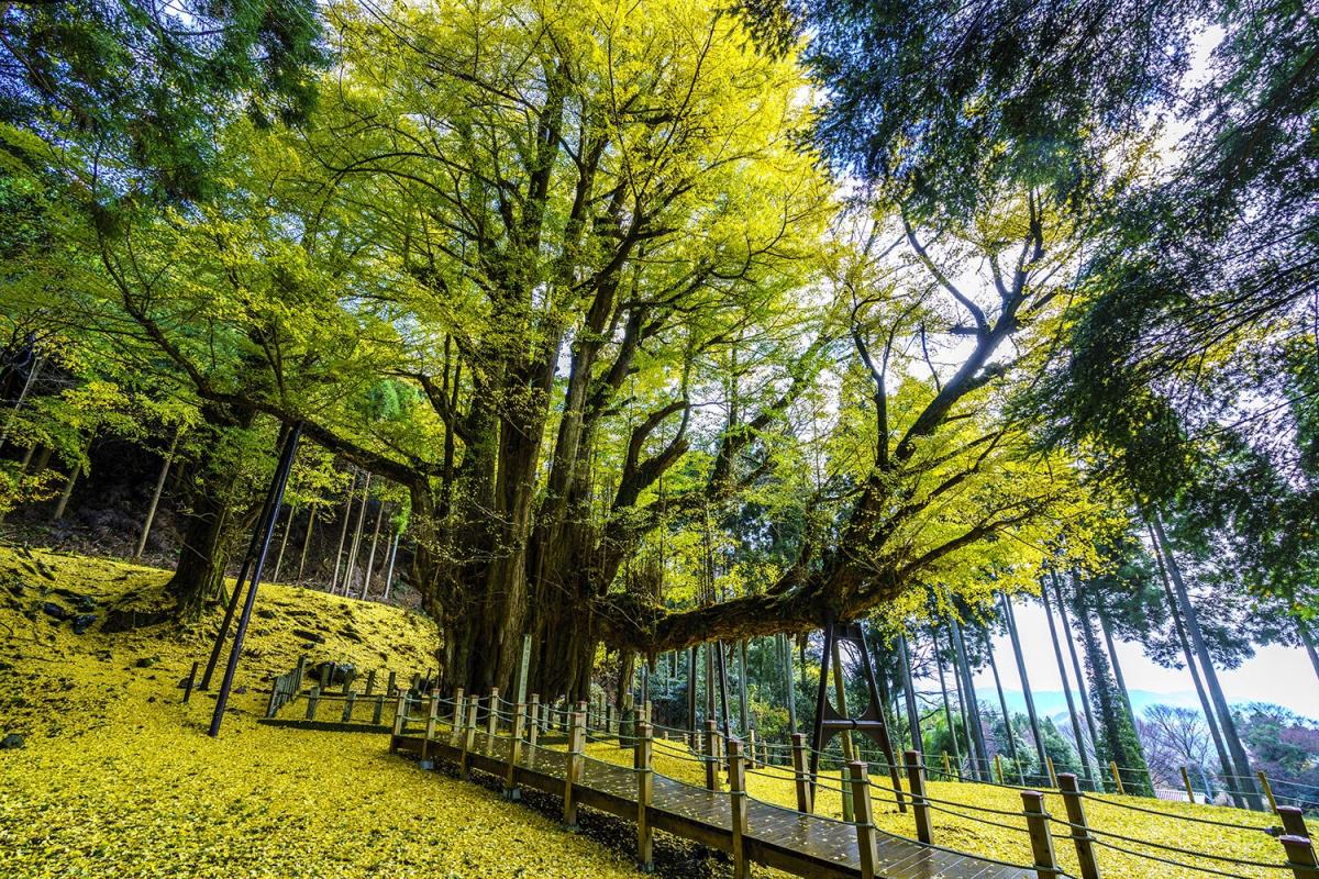思わず写真に納めたくなる！奈義町の絶景スポット6選｜おか旅 岡山観光web【公式】 岡山県の観光・旅行情報ならココ！